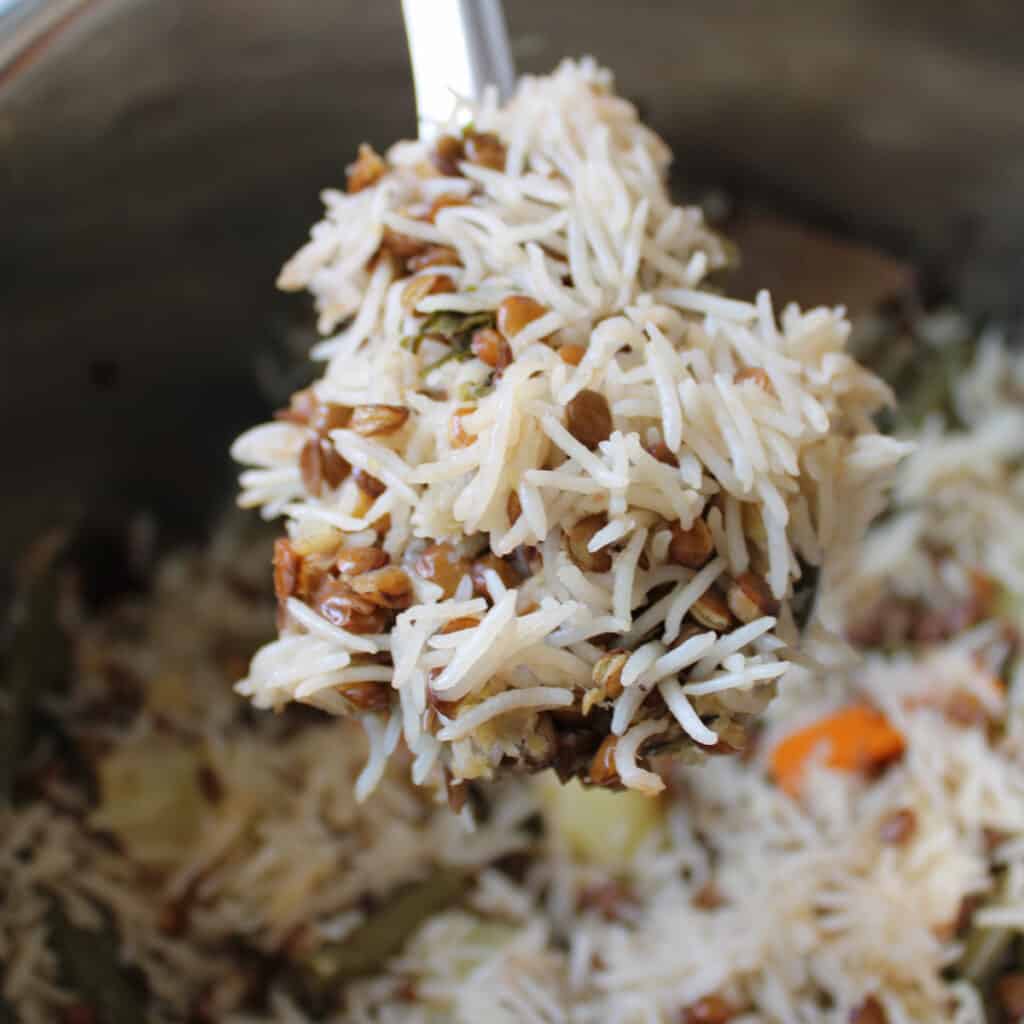 Brown Lentils with Basmati Rice - Masoor Dal Pulao Recipe