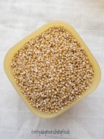 All About Millet and Different Millet Types