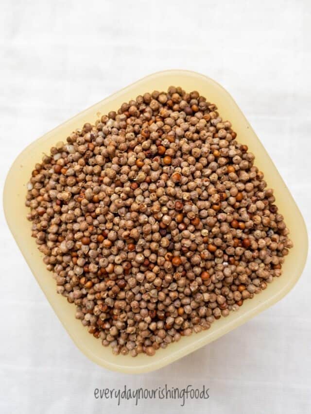 All About Millet and Different Millet Types