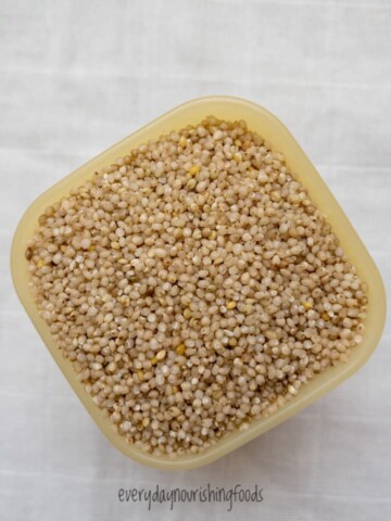 All About Millet and Different Millet Types