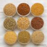 All About Millet and Different Millet Types