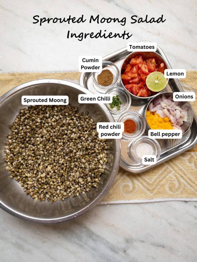 Easy Sprouted Moong Salad (Indian Chaat Style Recipe) - Everyday ...