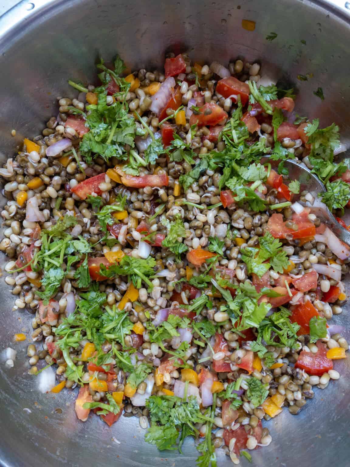 Easy Sprouted Moong Salad (Indian Chaat Style Recipe) - Everyday ...